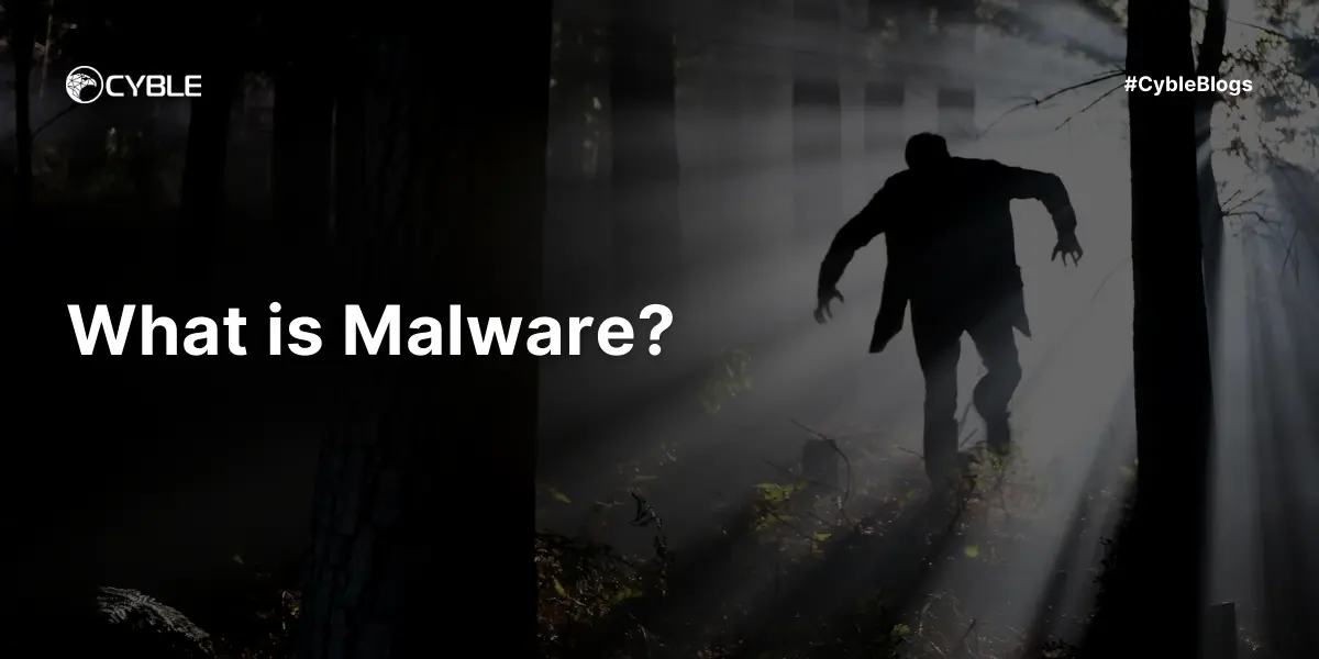 What is Malware? Types & Prevention - Cyble