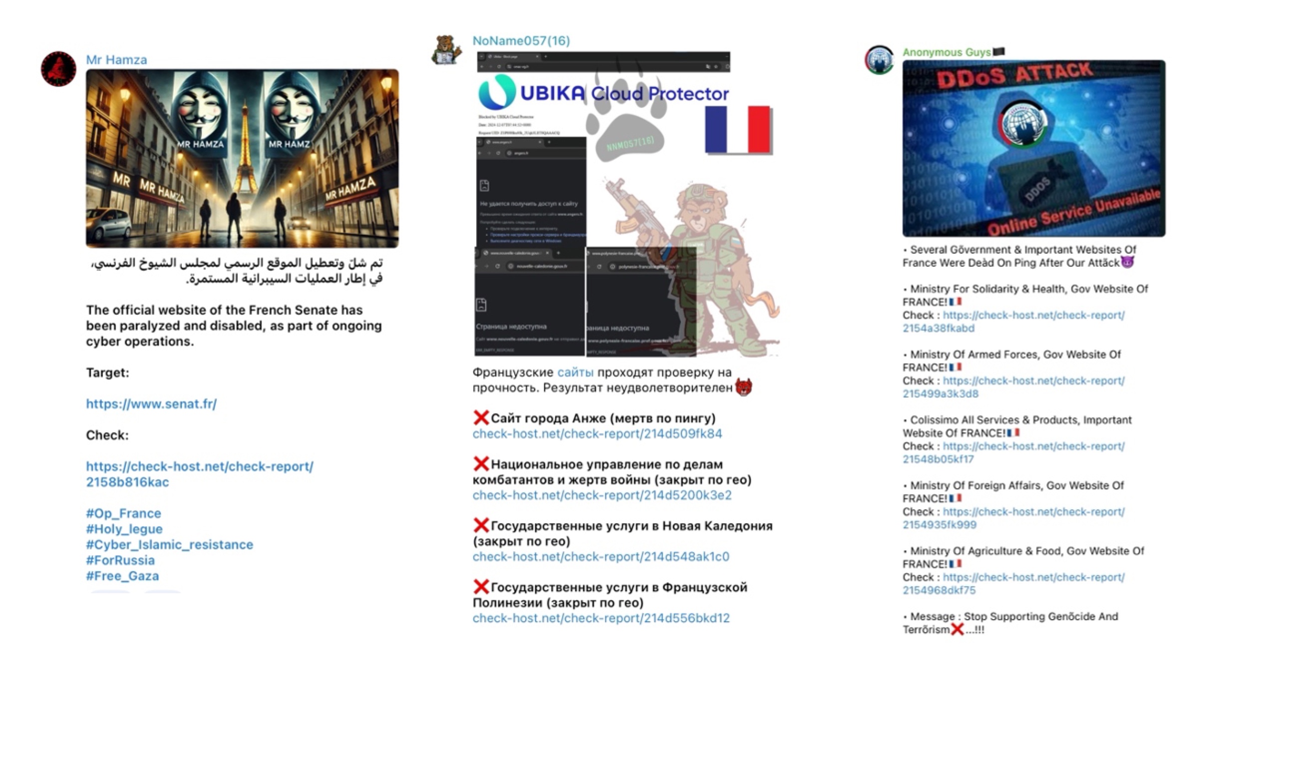 Hacktivist-Alliances-Target-France